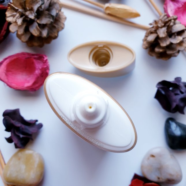 Review: Anessa – Perfect UV Sunscreen Skincare Milk SPF50+ PA++++ – My ...