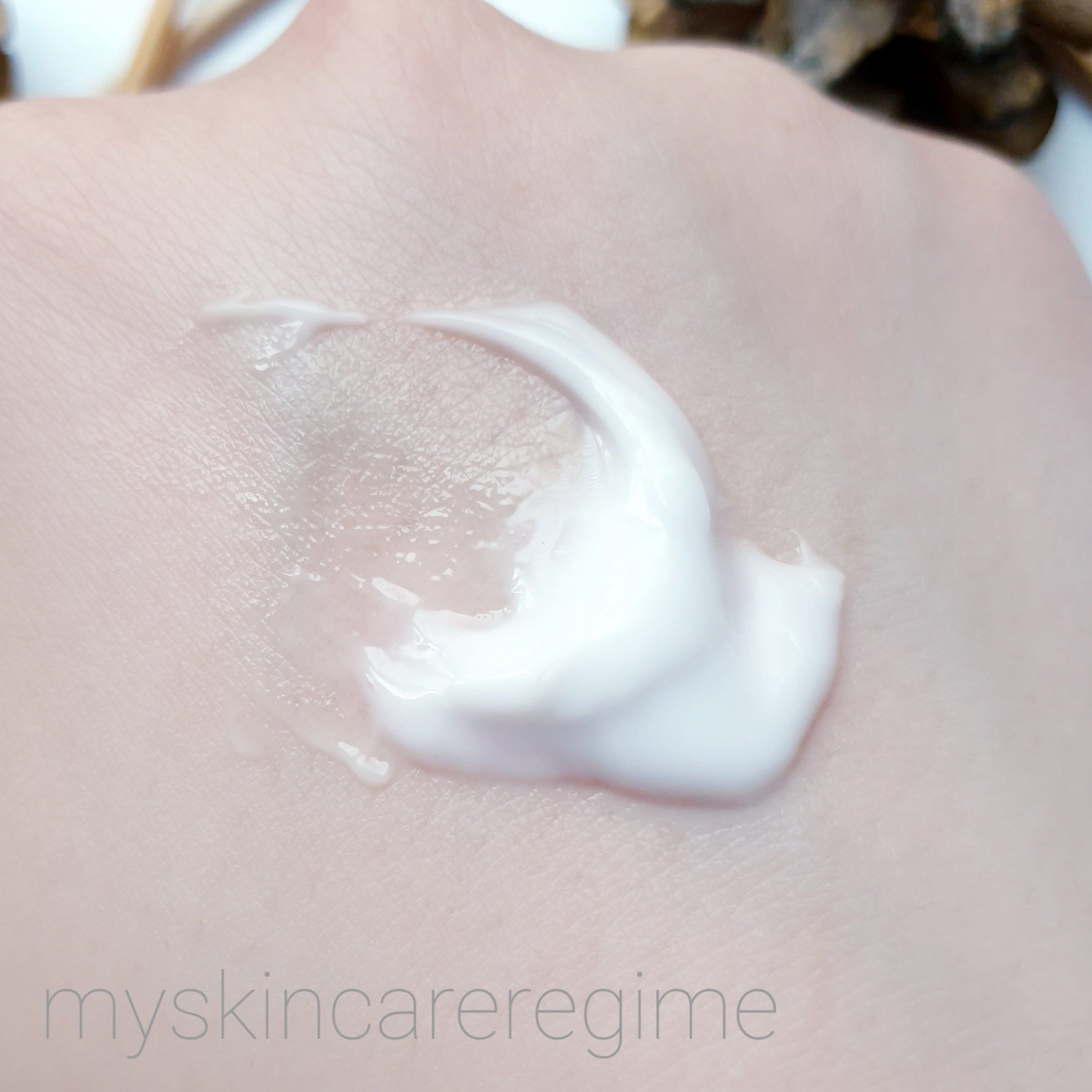 Review: Pyunkang Yul – Moisture Cream – My Skincare Regime
